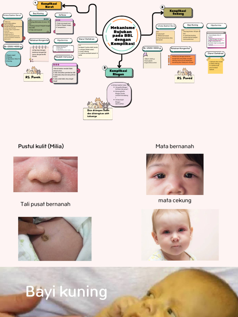Mekanisme Rujukan - 20240809 - 104420 - 0000 | PDF