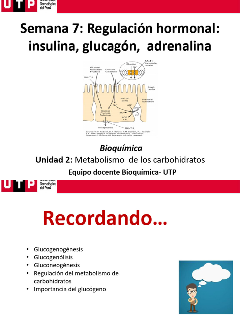S07 - s13 - Material | PDF