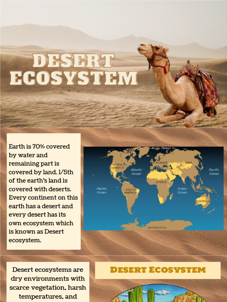 Desert Ecosystem | PDF