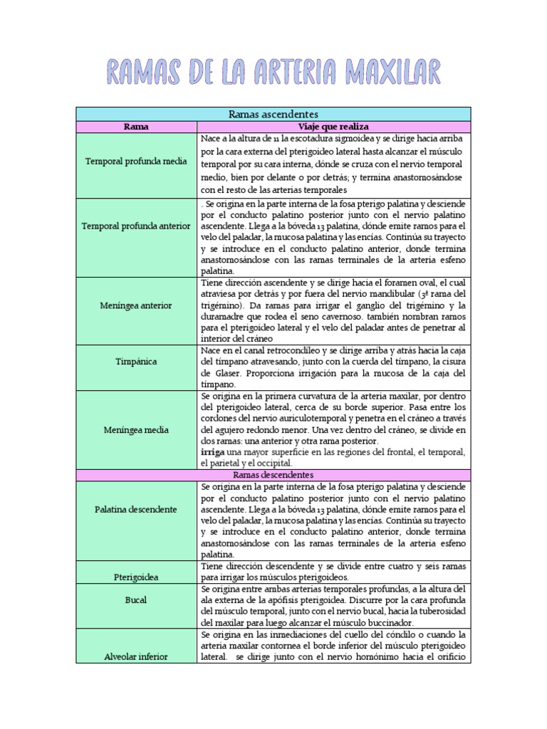 Ramas Arteria Maxilar Interna | PDF