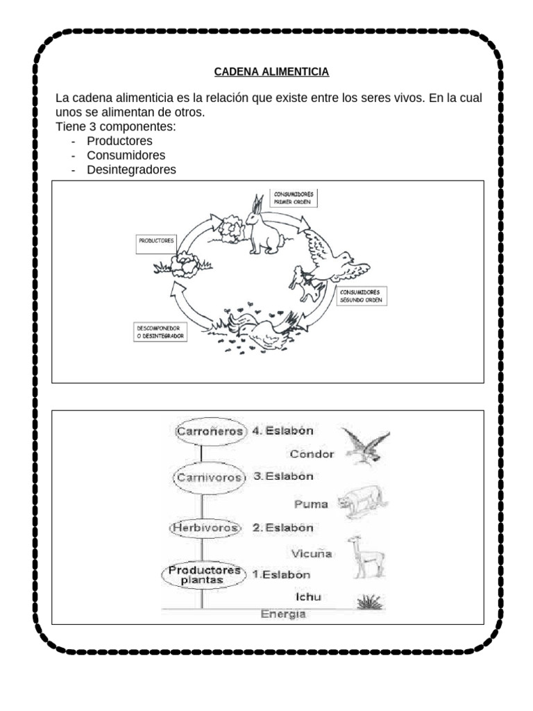INFORMACIÓN DE CADENA ALIMENTICIA | PDF
