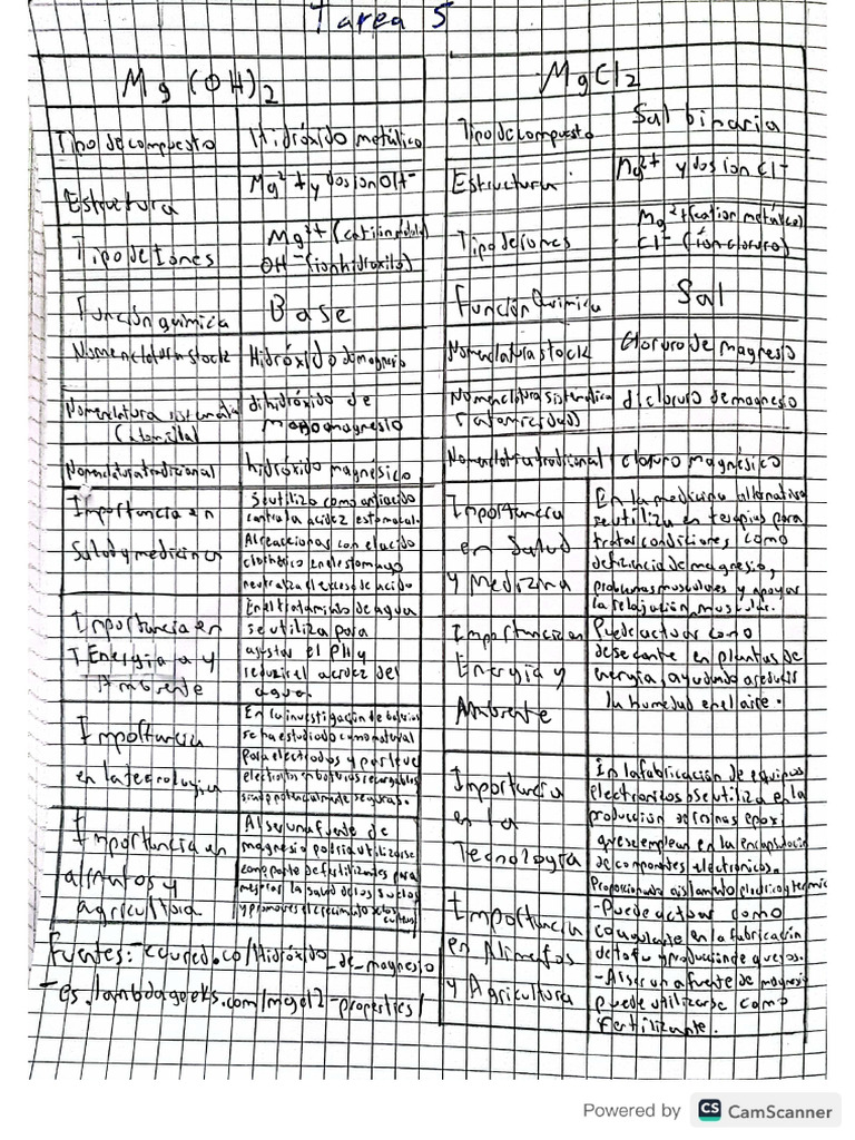Monzon Juan Pablo 9A TAREA 5 1 TRIMESTRE | PDF