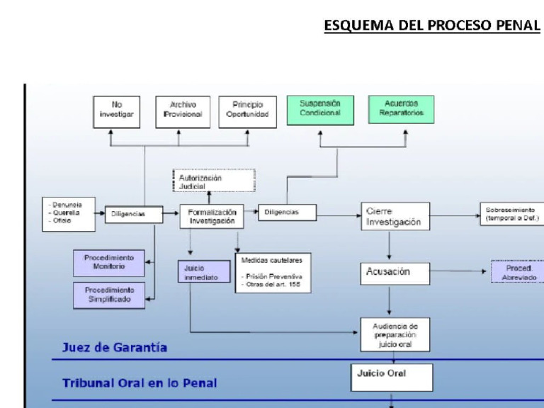 Esquema Proceso Penal | PDF