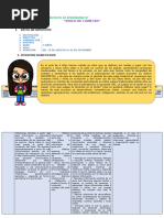 Proyecto Cometa | PDF | Evaluación | Aprendizaje