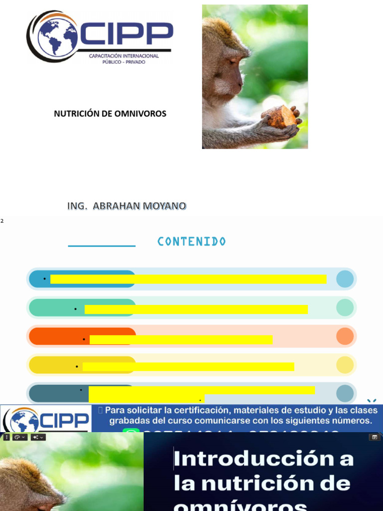 Nutrición de Omnívoros | PDF