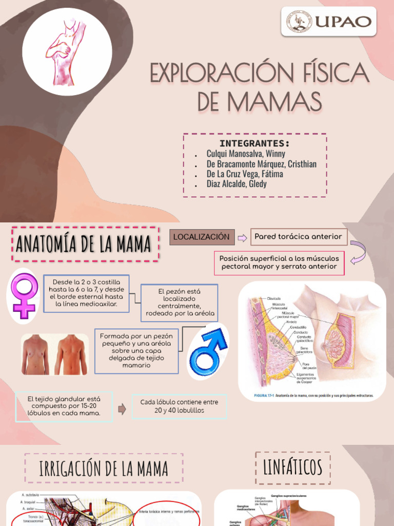 Exploración Física de Mamas y Diagnóstico | PDF | Pecho | Ciencia y ...