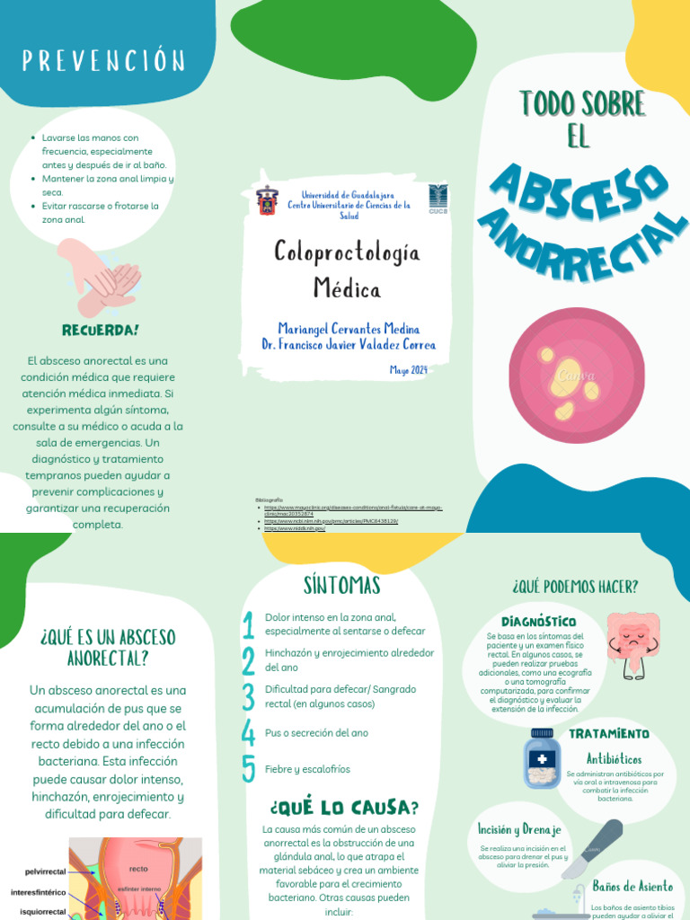 Absceso Anorrectal | PDF | Colitis ulcerosa | Causas de la muerte