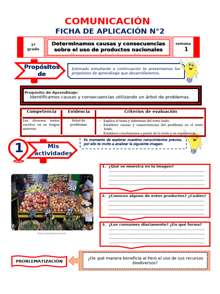 1° Ficha de Aplicación-Sesión1-Sem.1-Exp.5-Com | PDF