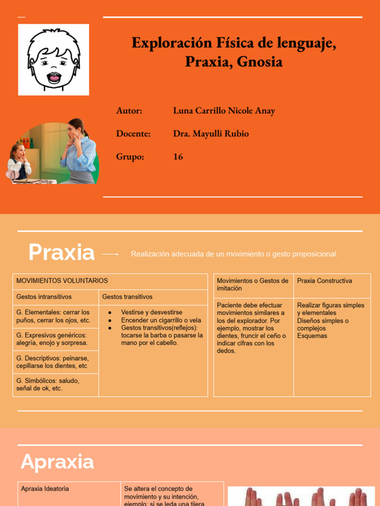 NEURO praxia | PDF