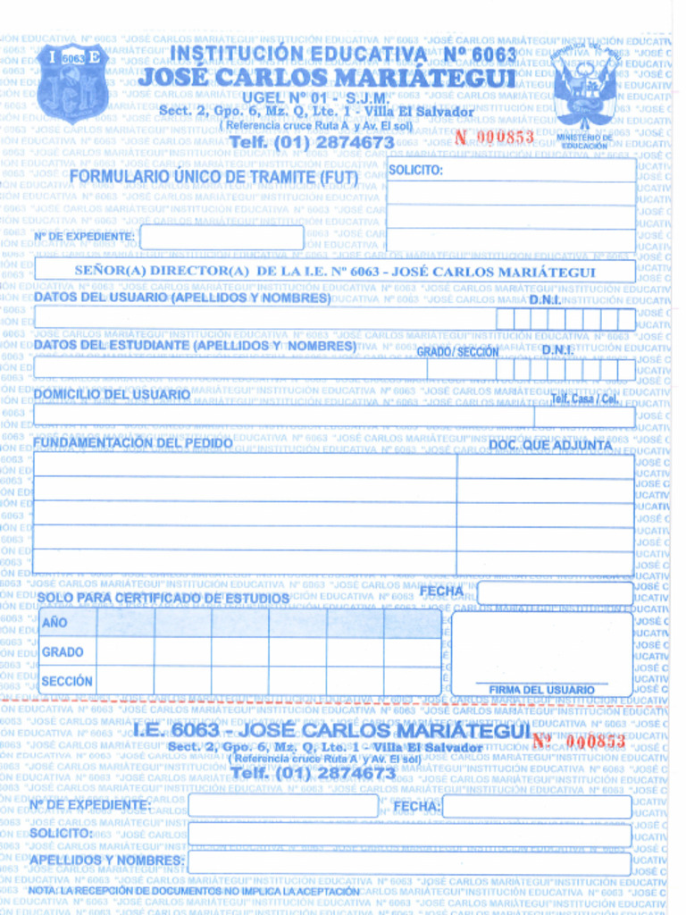 Formato Fut Vacio | PDF