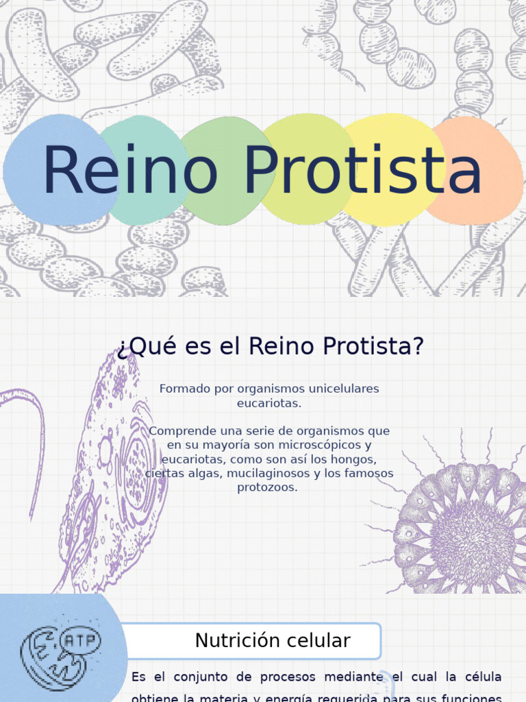 Pastel Colors Science Microbiology Laboratory Practice Presentation | PDF