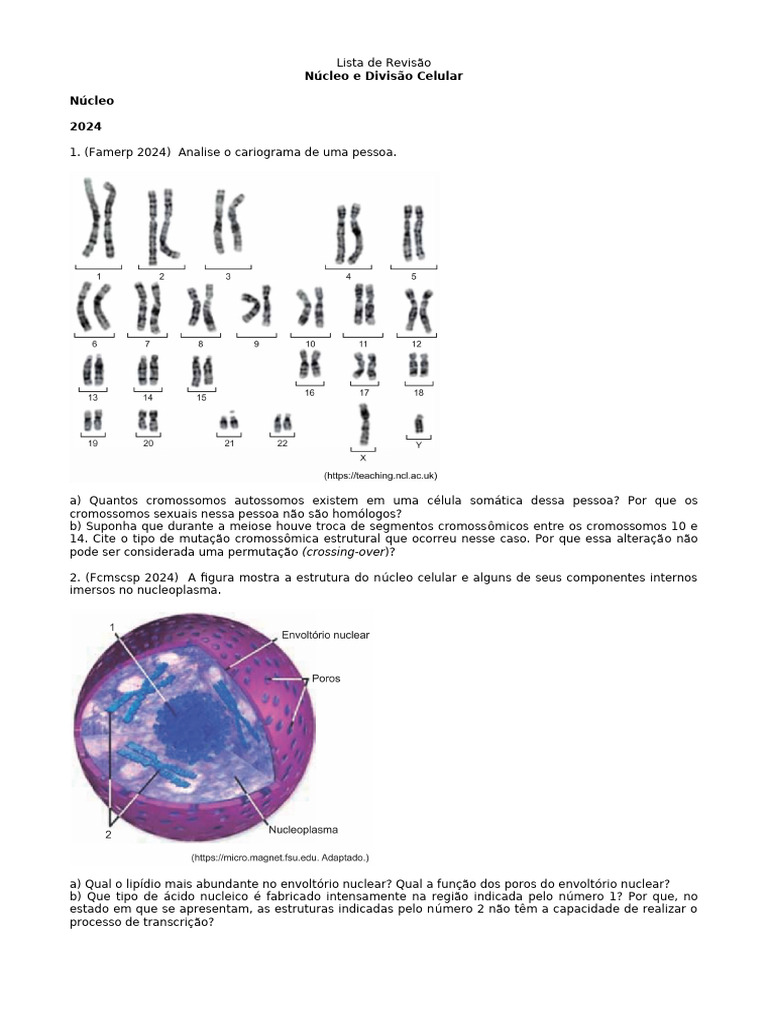 Lista Revisao 1ema 2 Tri Nucleo E Divisao Celular 2024 Pdf