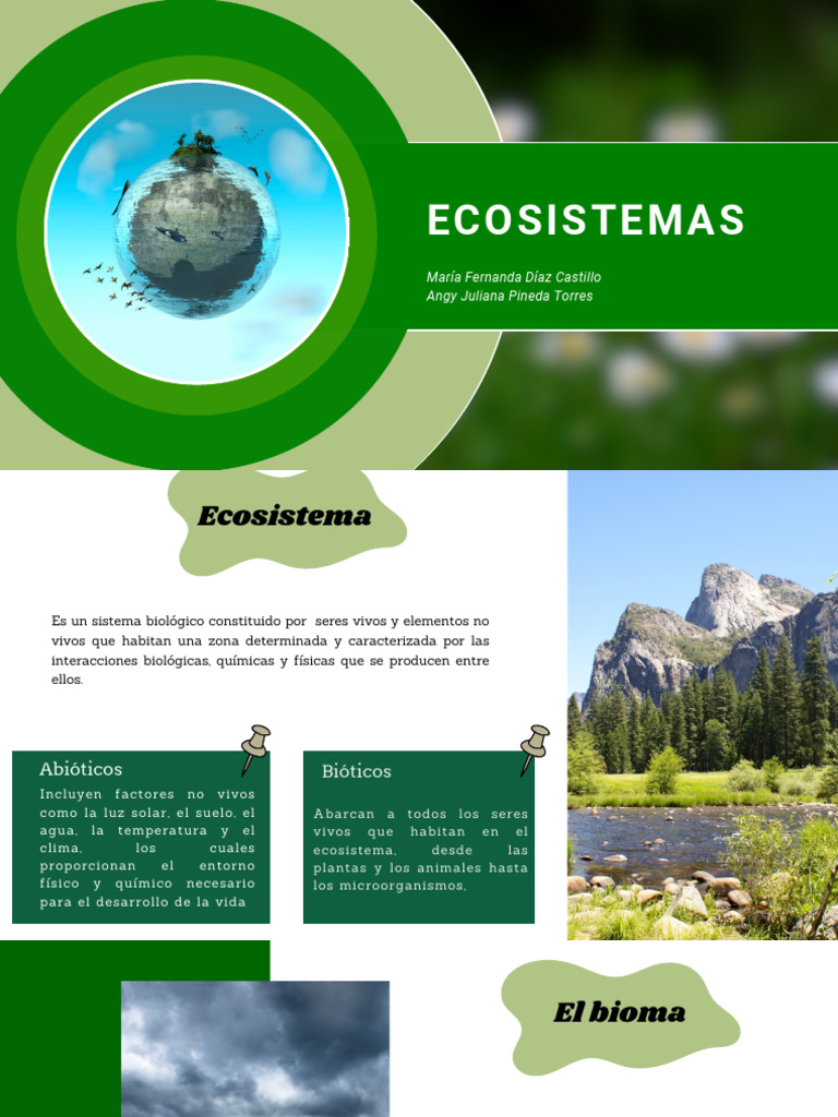 Presentación ECOSISTEMAS | PDF