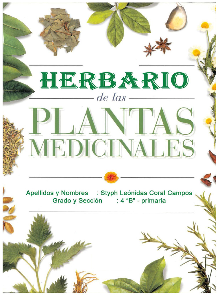Herbario Plantas Medicinales | PDF