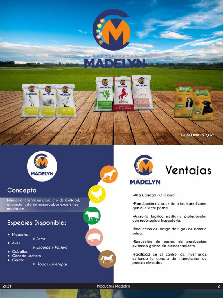 Catalogó_Concentrados Madelyn | PDF