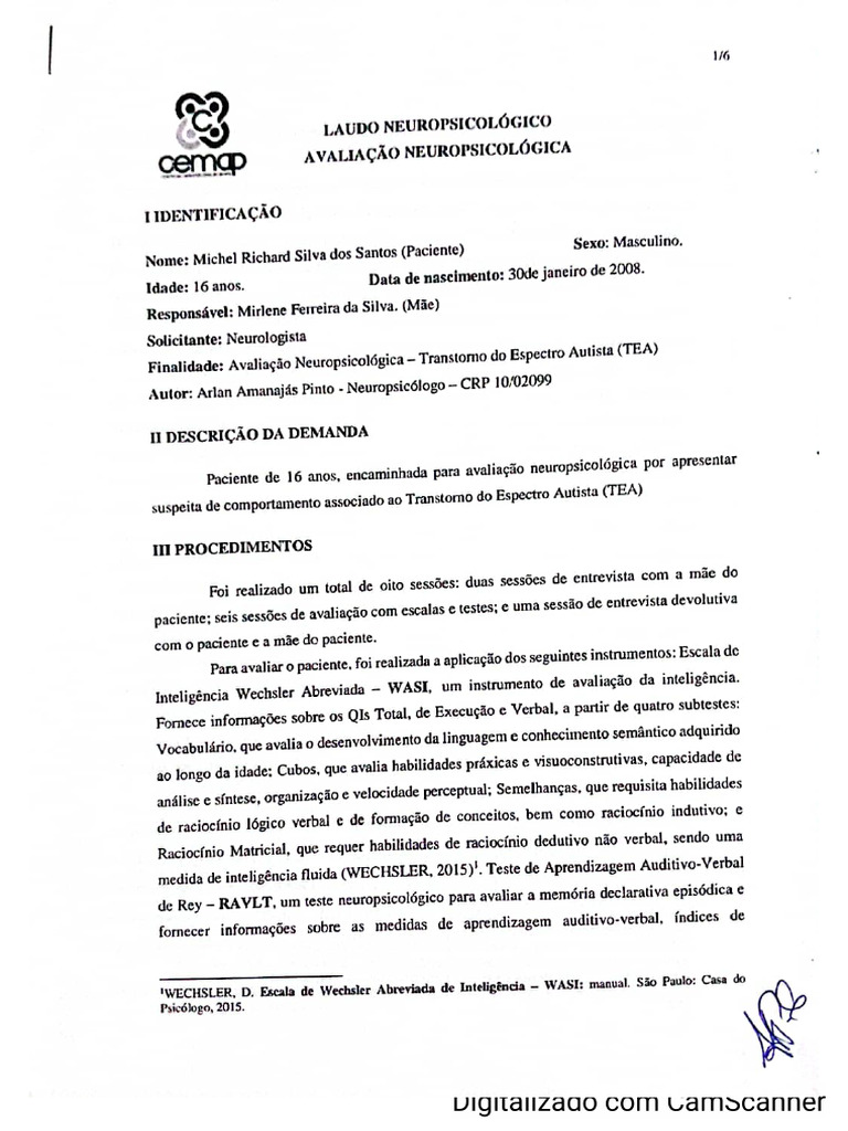 Laudo Neuropsicológico | PDF