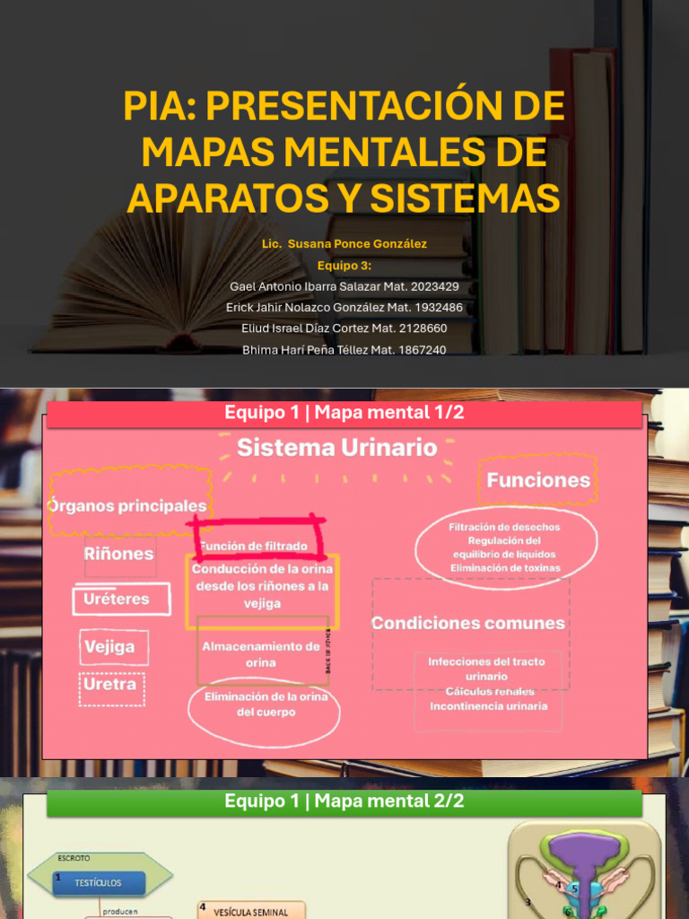 PIA - Equipo 3 - MFAF | PDF