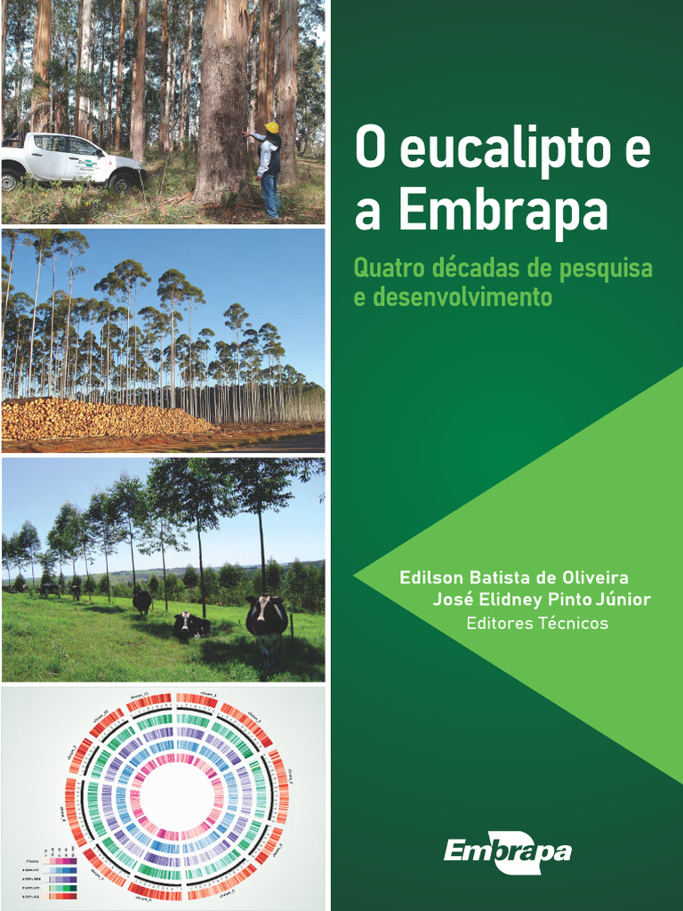 Livro Eucalipto | PDF