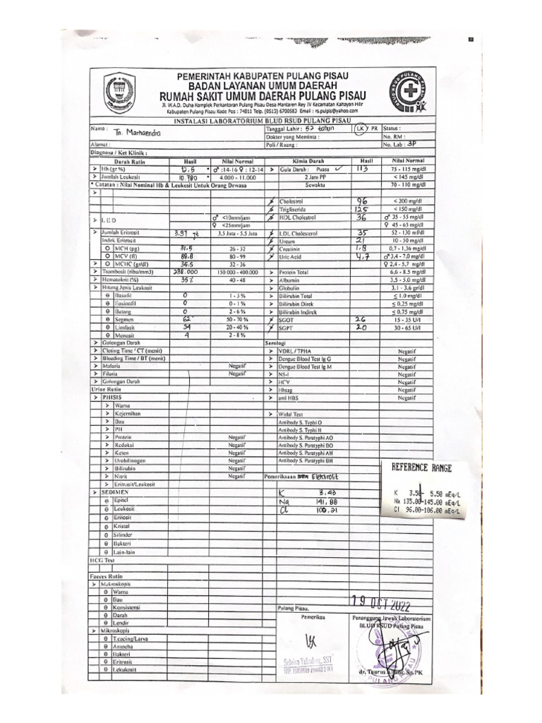 Hasil Lab Darah New Pdf