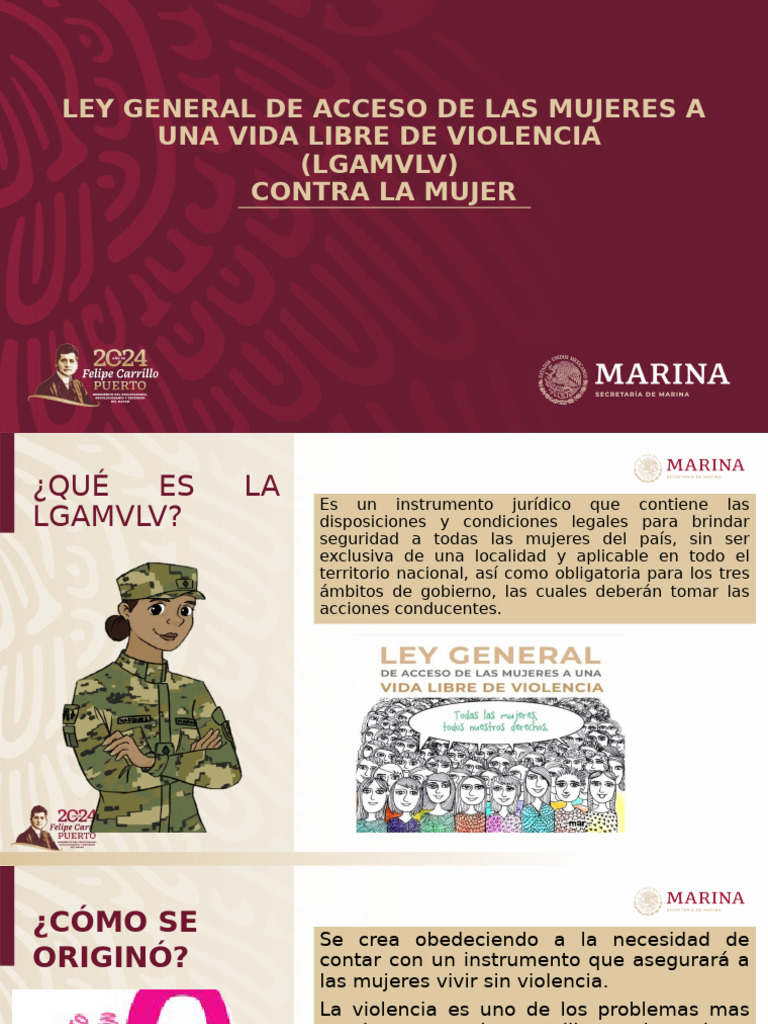 Ley General de Acceso de Las Mujeres Vida Libre V | PDF
