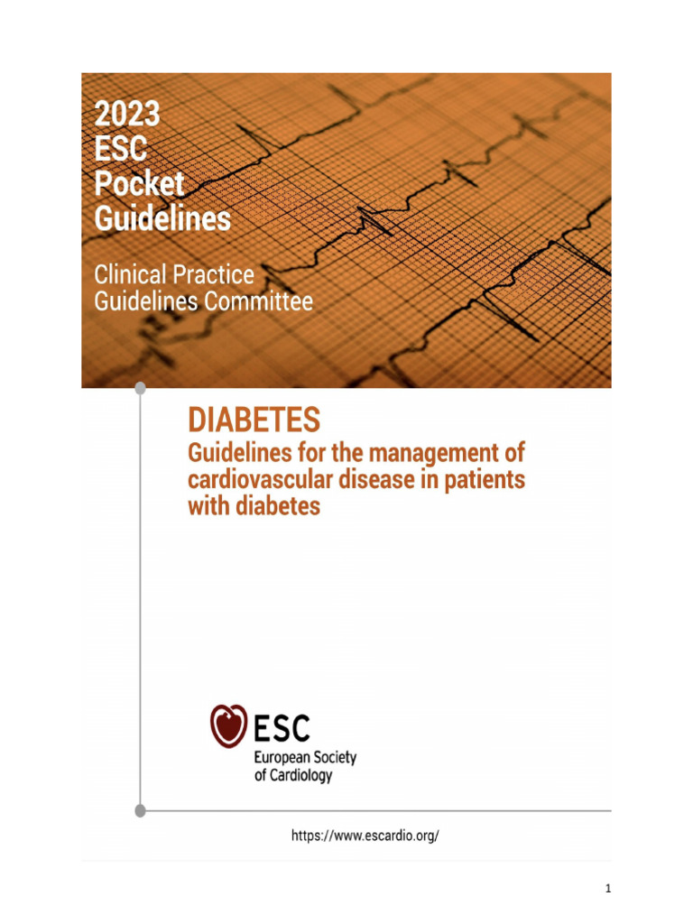DM 2023 Pocket Guidelines | PDF
