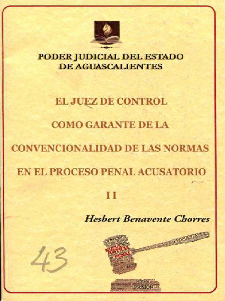 El Juez de Control II | PDF