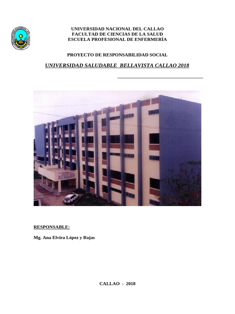 Modelo de Proyecto Responsabilidad Social 2018 | PDF