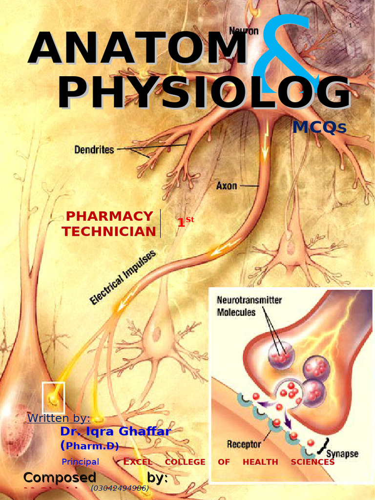 ANATOMY & PHYSIOLOGY MCQs Solved | PDF | Anatomical Terms Of Motion ...