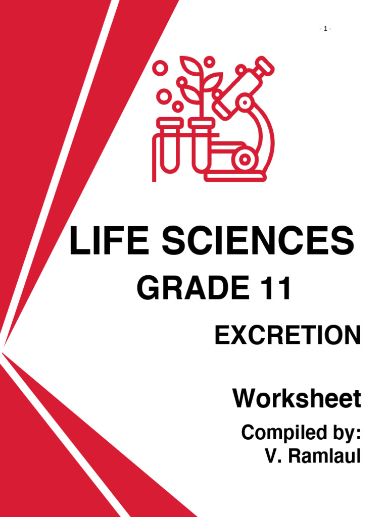 Life Sciences GR 11 Worksheet 3 | PDF