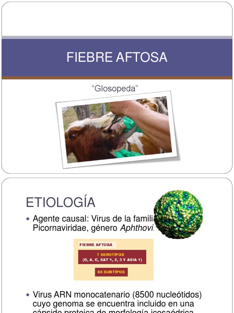 FIEBRE AFTOSA | Virus | Inmunología