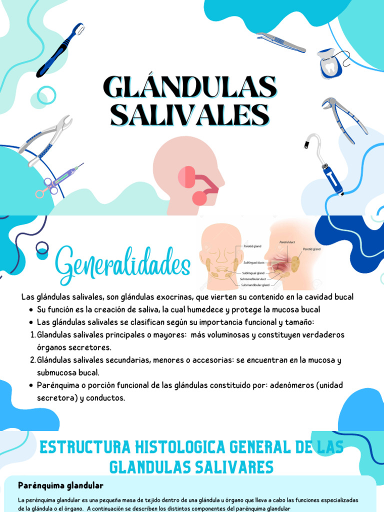 Glandulas Salivales | PDF