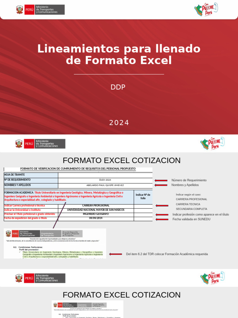 Lineamientos Formato Excel | PDF