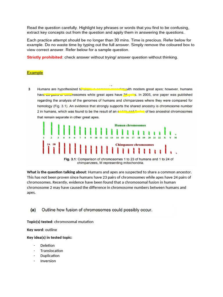 P3 Revision Practice | PDF
