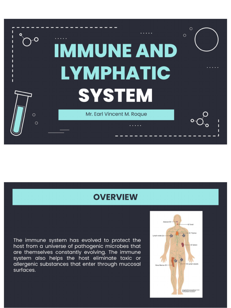 Immune and Lymphatic System | PDF