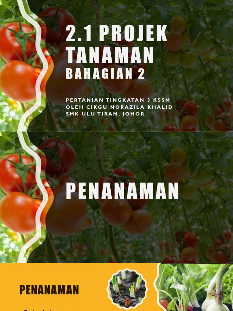 Pertanian t5 KSSM p2 2.1 Projek Tanaman | PDF