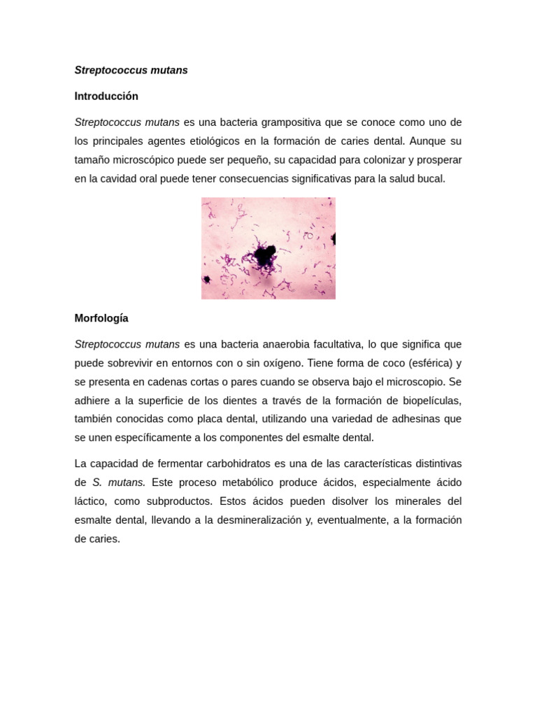 Streptococcus Mutans | PDF