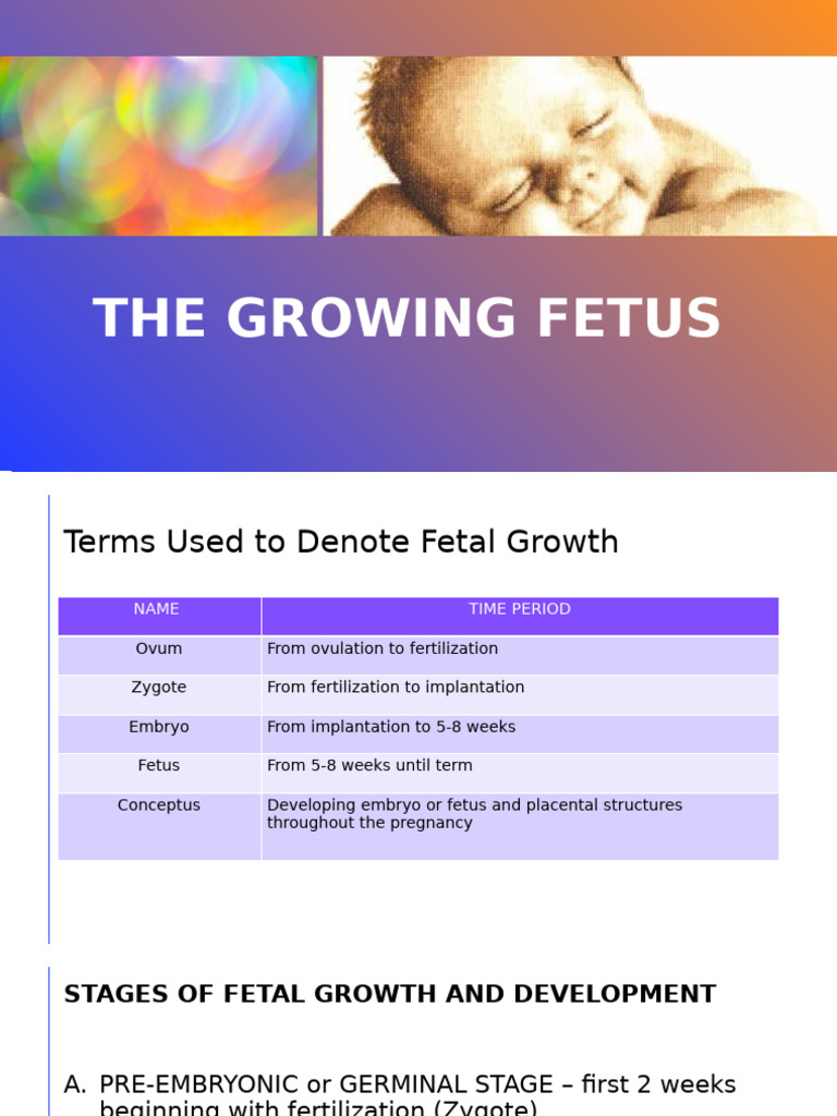 The Growing Fetus | PDF