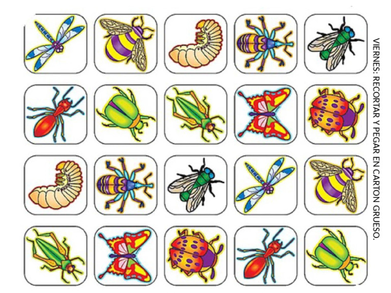 Memorama Insectos | PDF
