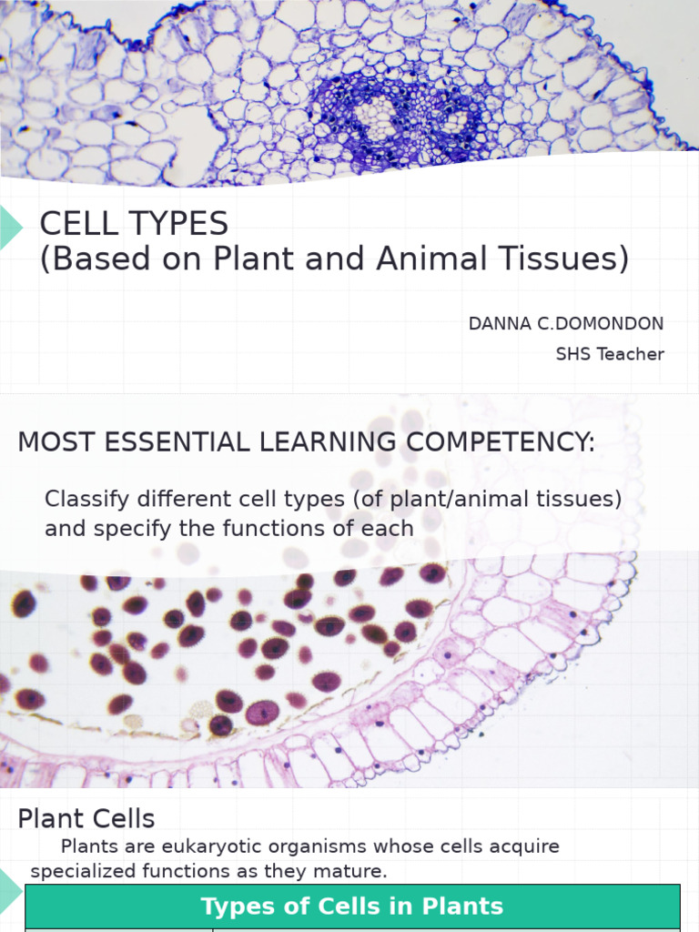 Melc 4 | PDF
