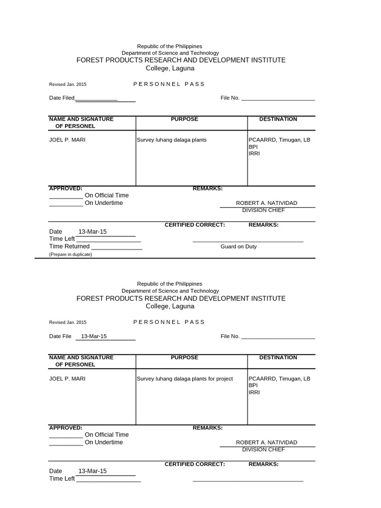 Personnel-Pass (Gate Pass) | PDF