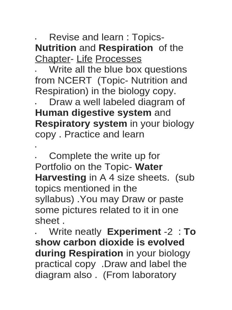 Holiday Homework-Class 10 - 240514 - 190759 | PDF