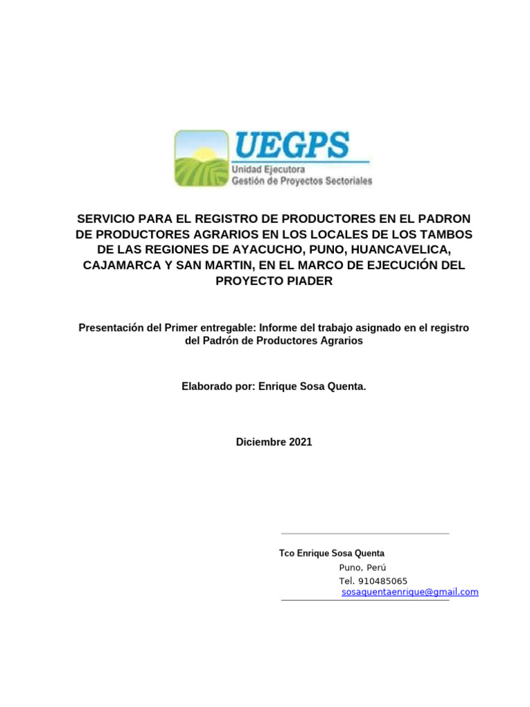 MODELO INFORME DE PPA Diciembre | PDF