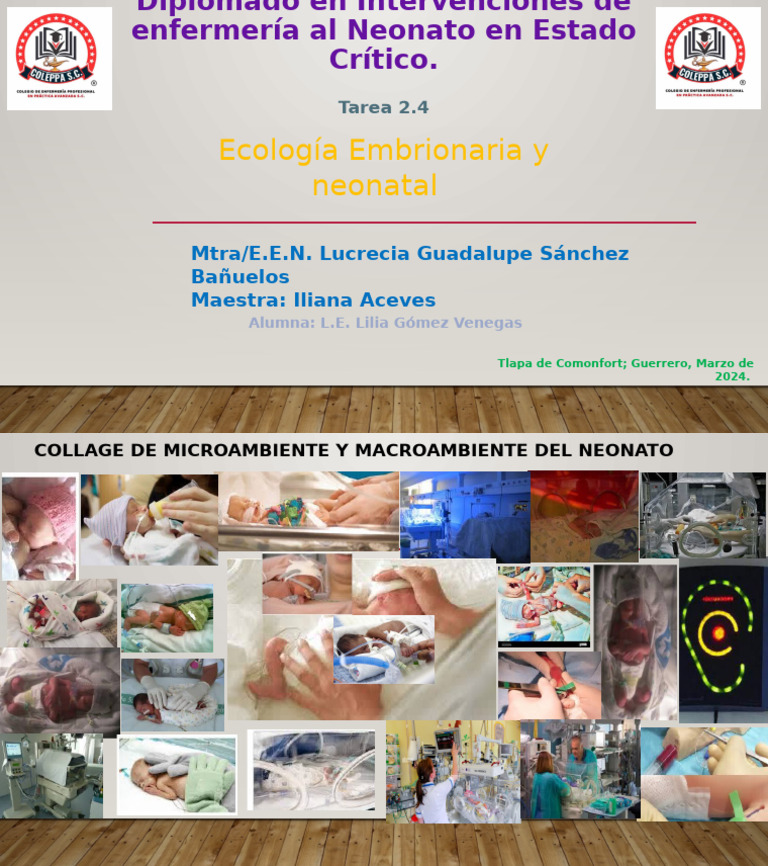 Collage de Microambiente y Macroambiente | PDF