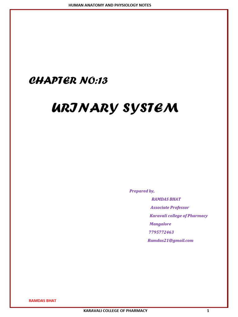 Urinarysystem 221204113549 6f5d1879 Pdf