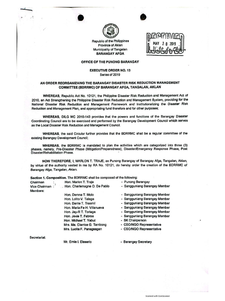 1.3 Reorganizing The BDRRMC | PDF