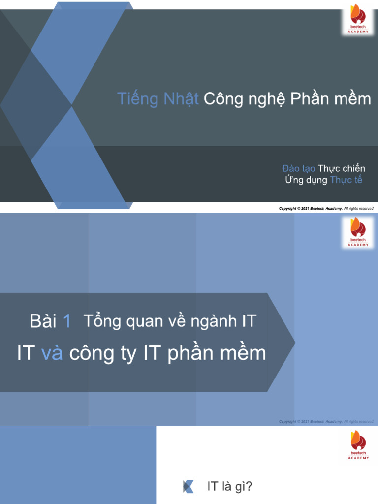 IT Comtor - Bài 1. T NG Quan IT - Hình Thái Công Ty IT | PDF