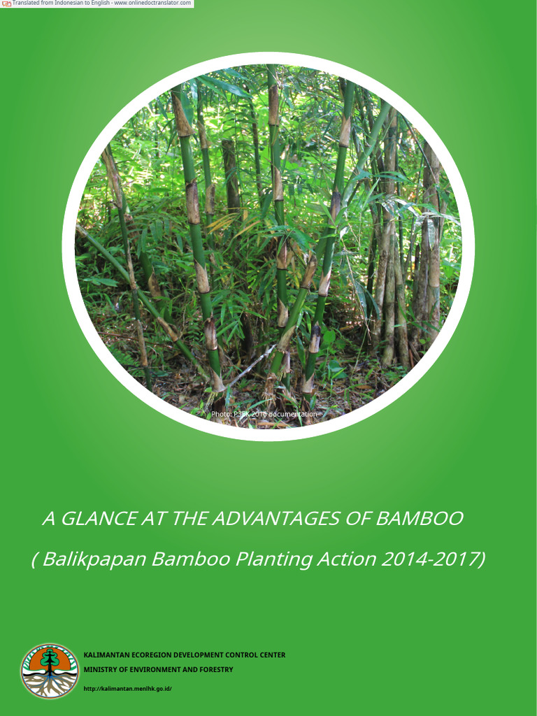 Sekilas-Keunggulan-Bambu Id en | PDF