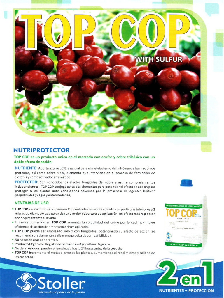 Top Cop | PDF