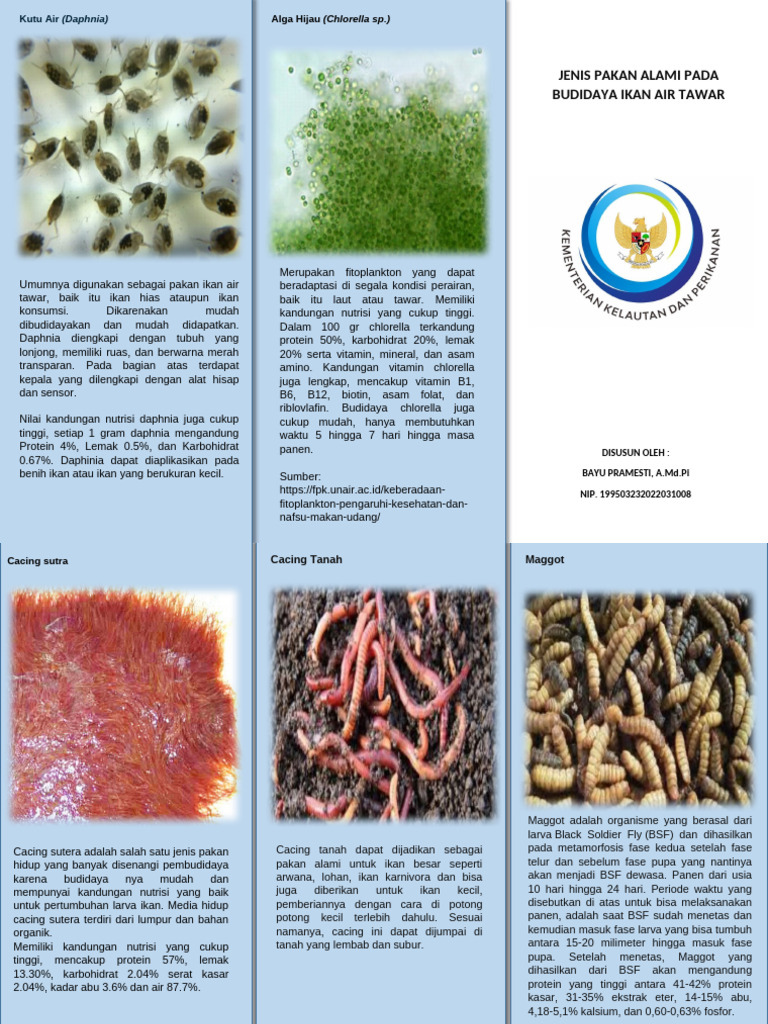 Folder - Pakan Alami | PDF