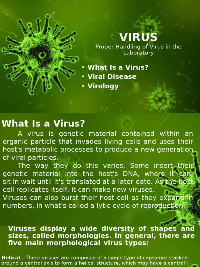 Virus | PDF